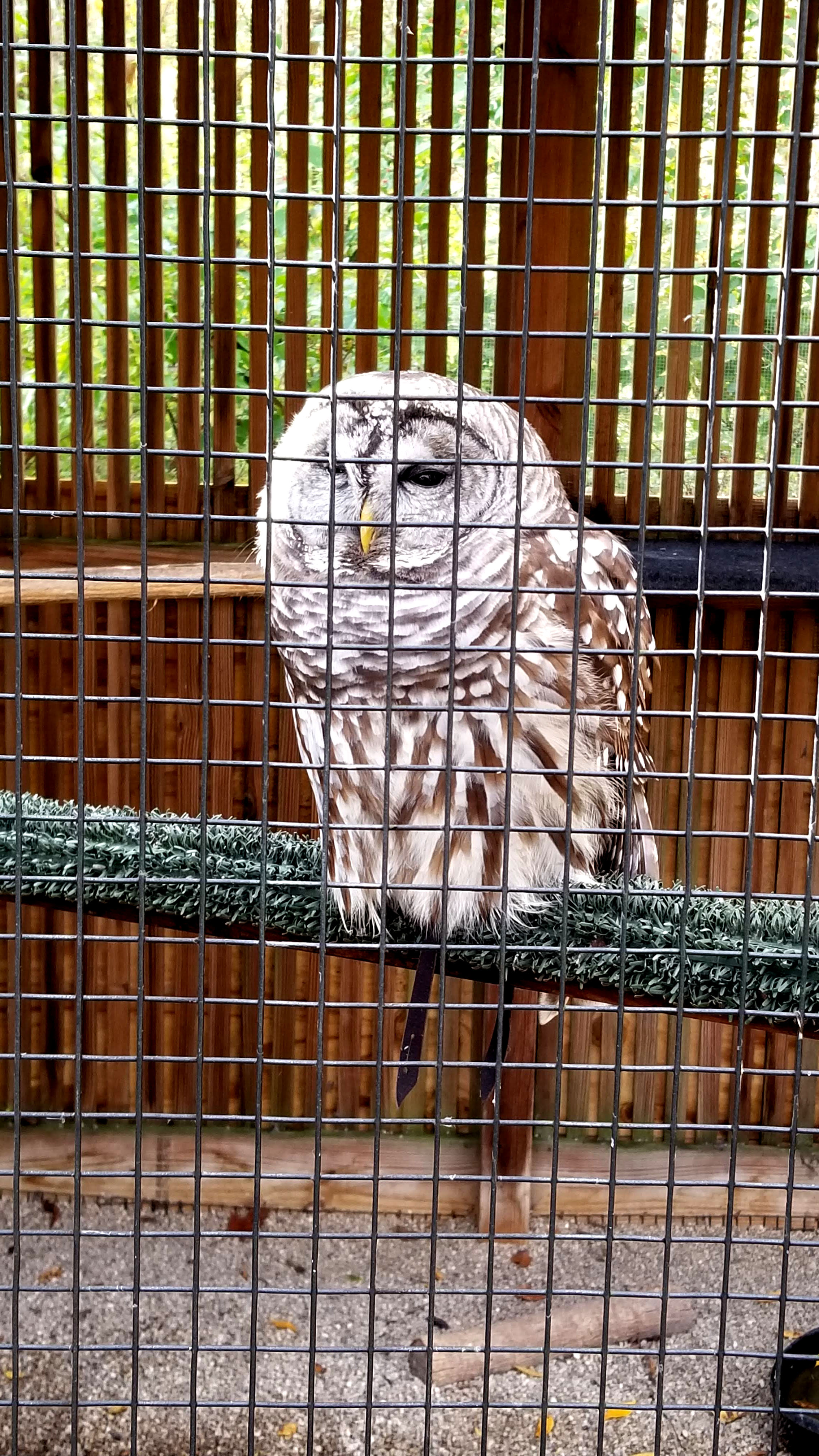 Hiking in Ohio: Glen Helen Nature Preserve – Matthew Caracciolo: Writer